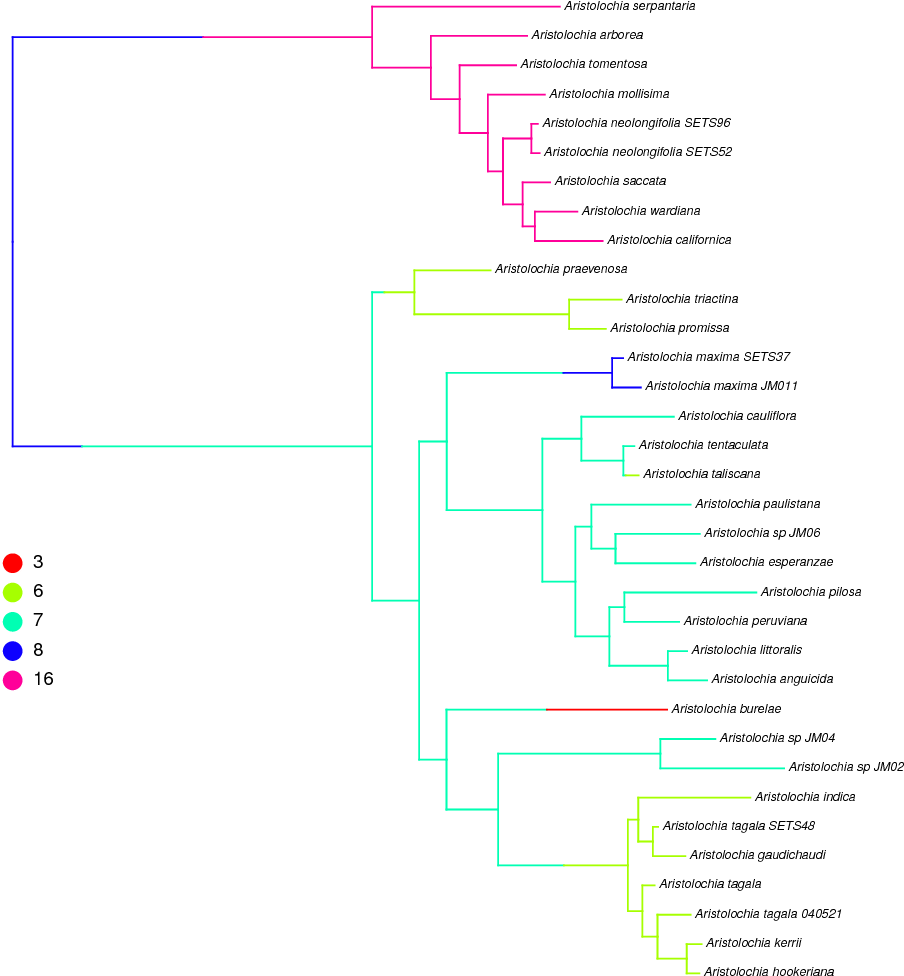 Download An Example Of Stochastic Character Mapping Applied - Diagram ...