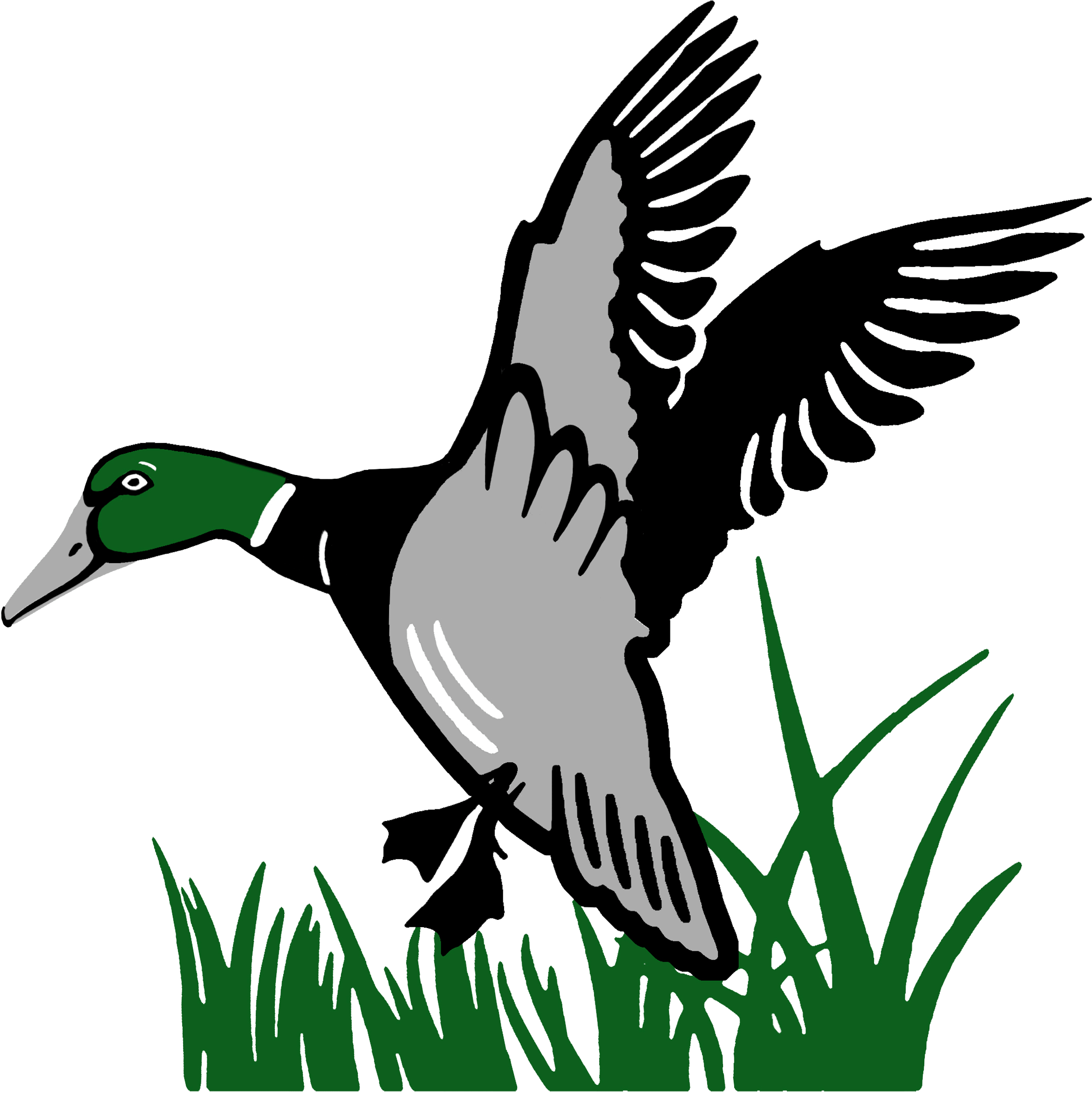 Download Great Social Event For The Whole Family - Full Size PNG Image ...