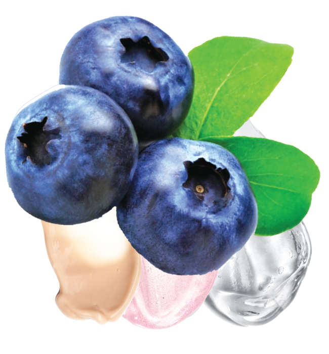 Download Files/slider Tile Blueberry - Sisu Calcium & Magnesium ...