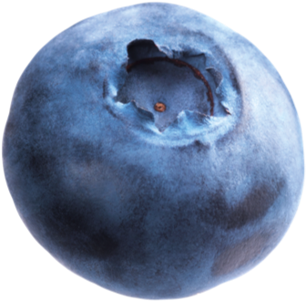 Download Blueberries Transparent Images - Huckleberry - Full Size PNG ...