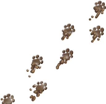 Download Muddy Dog Paw Prints - Full Size PNG Image - PNGkit