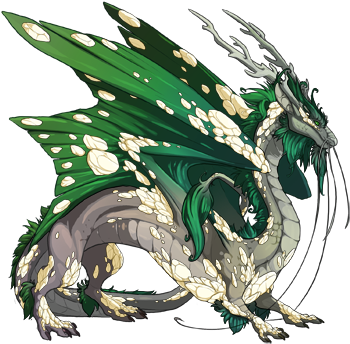 Download 5770378 350 - Keith As A Dragon Voltron - Full Size PNG Image ...