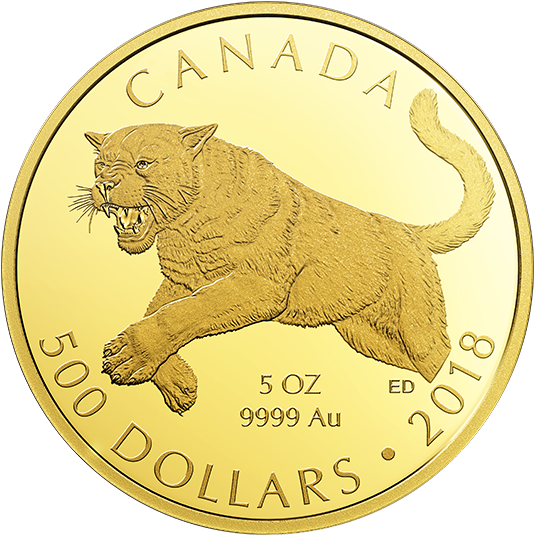 Download Pure Gold Coin - Gold - Full Size PNG Image - PNGkit