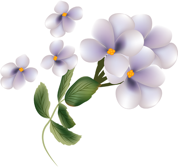 Download Tubes Png Fleurs - Flower - Full Size PNG Image - PNGkit