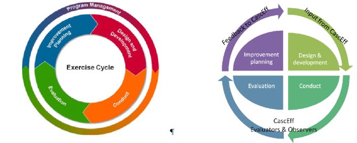 Download The Hseep/fema And Casceff Exercise Cycles - Circle - Full ...