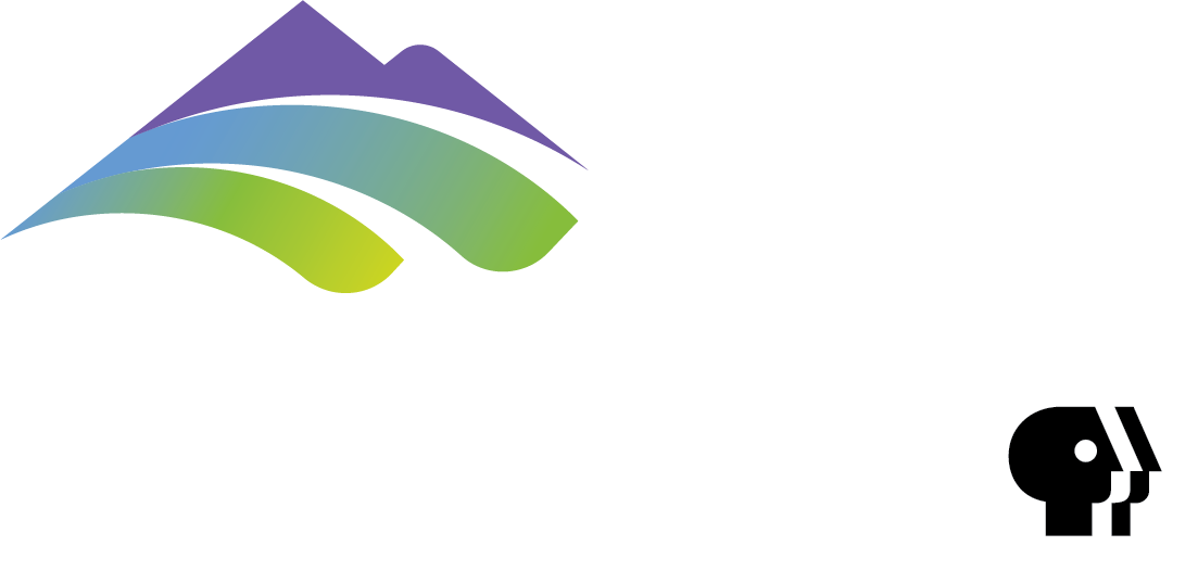 Download For On Air And Online Primary Acronym Logo - Pbs Logos - Full ...