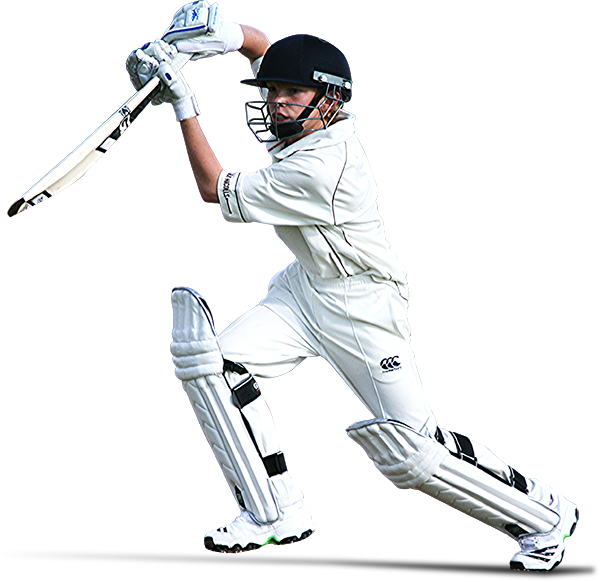 Download Cricket Transparent Images Png - Transparent Cricket Png ...