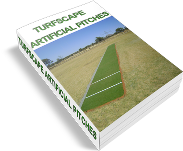 Download Artificial Cricket Pitches - Field - Full Size PNG Image - PNGkit