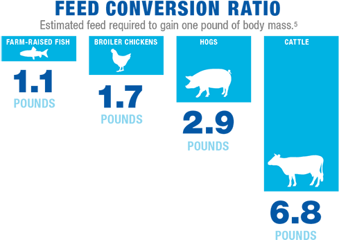 Download Gaa Food Supply Infographic Feed Conversion Ratio - Feed Conversion Ratio - Full Size ...