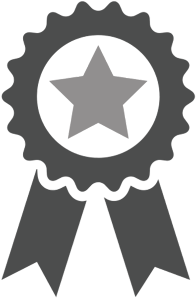 Download Transparent Quality - Online Reputation Icon Png - PNGkit