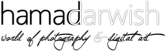 Download Hamad Darwish - Hammad Photography Logo - Full Size PNG Image ...