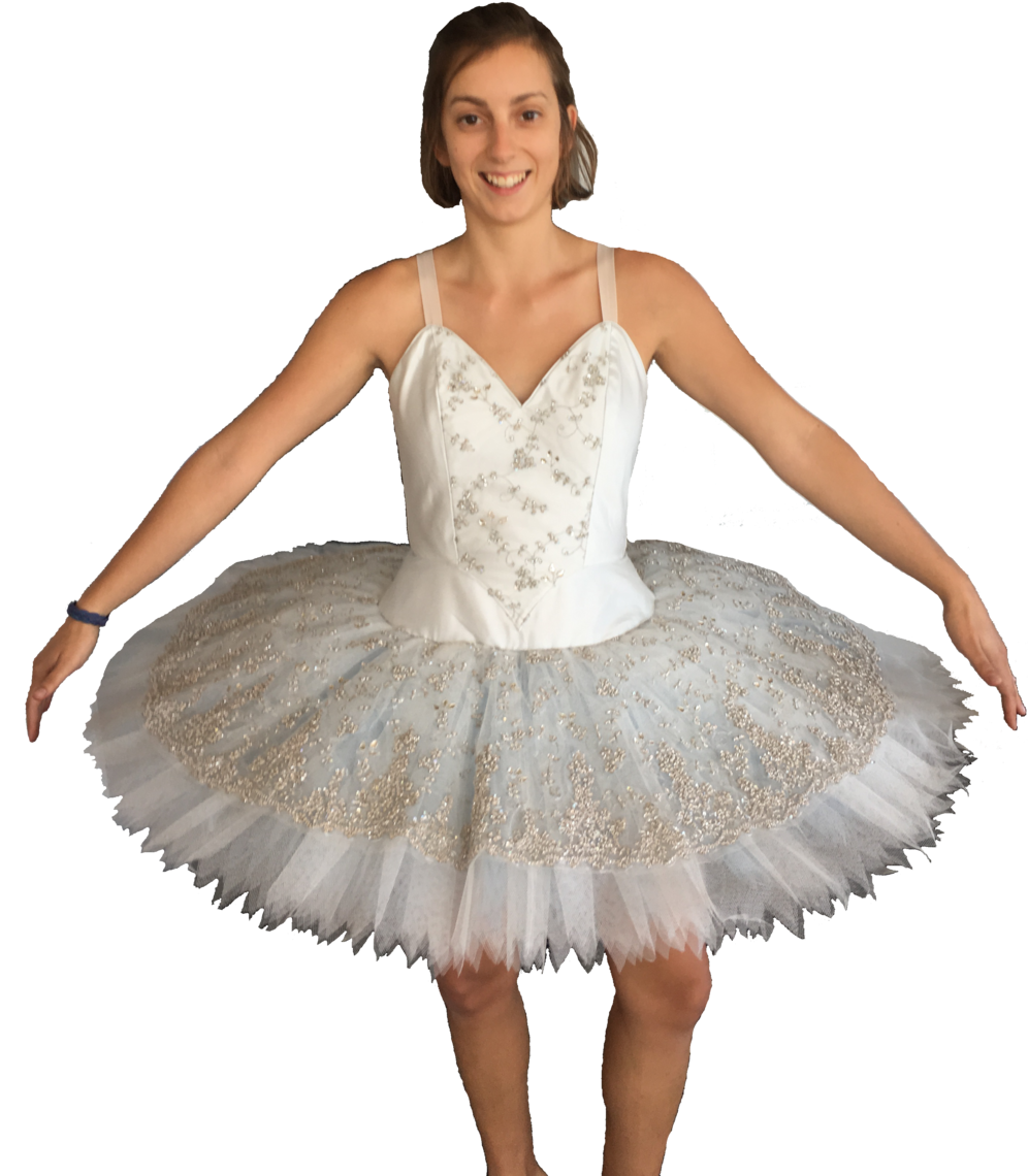 Download Prev / Next - Full Size PNG Image - PNGkit