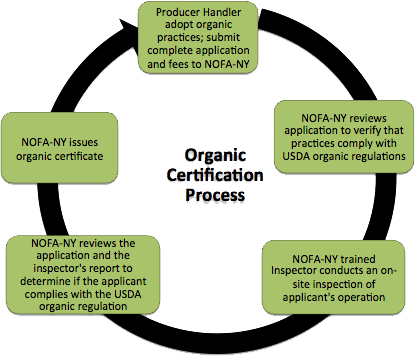 Download Certification Process - Organic Certification Process - Full Size PNG Image - PNGkit
