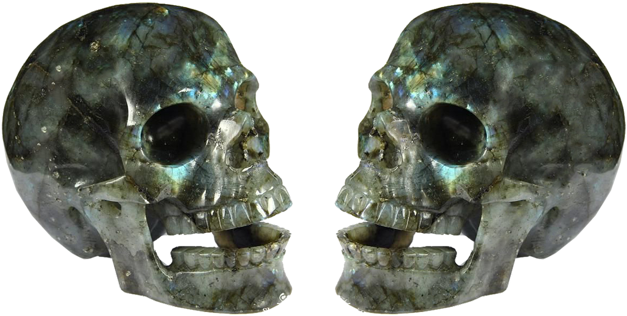 Download Skull Isolated Skull And Crossbones - Stock.xchng - Full Size ...