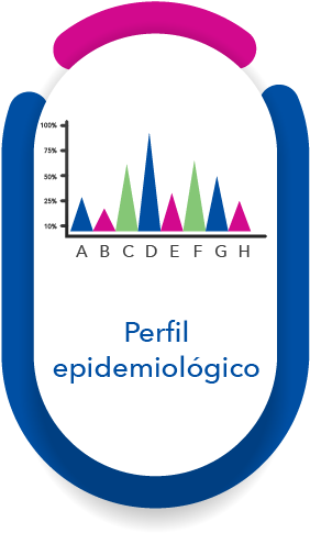 Download 3 Perdil Epidemio - Full Size PNG Image - PNGkit