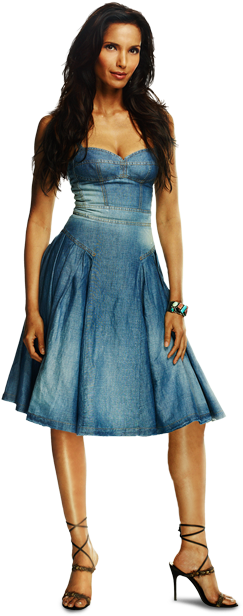 Download Padma Lakshmi - Full Size PNG Image - PNGkit