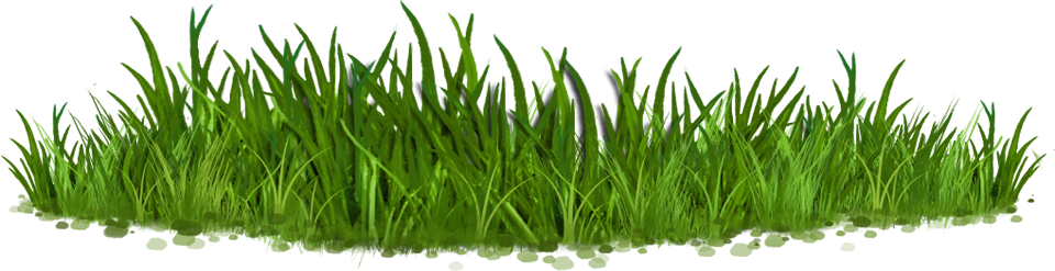 Download Quick Order Now - Sweet Grass - Full Size PNG Image - PNGkit