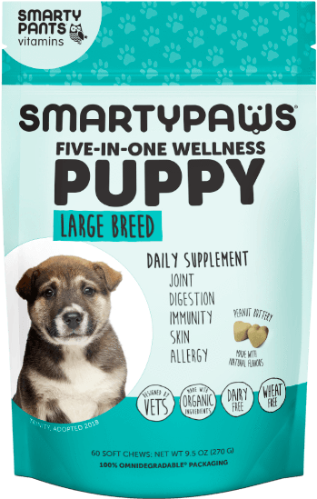Download Smartypaws Puppy Large Breed - Smarty Pants - Full Size PNG ...