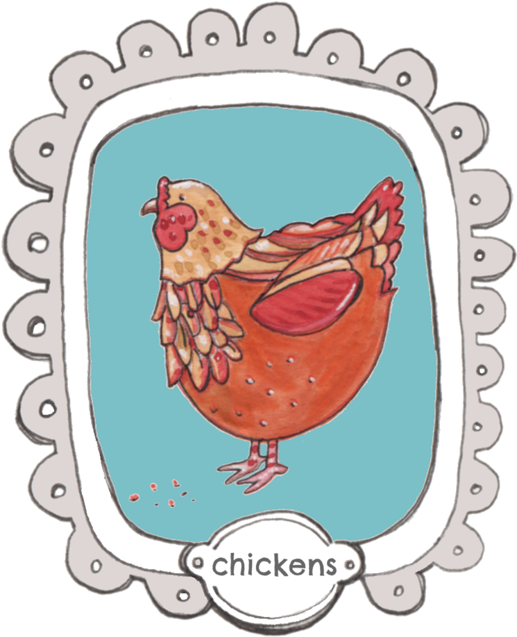 Download Chicken - Full Size PNG Image - PNGkit
