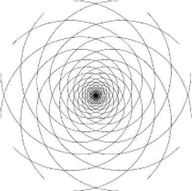 Download Transparent Fibonacci Vector Sunflower Svg Download ...