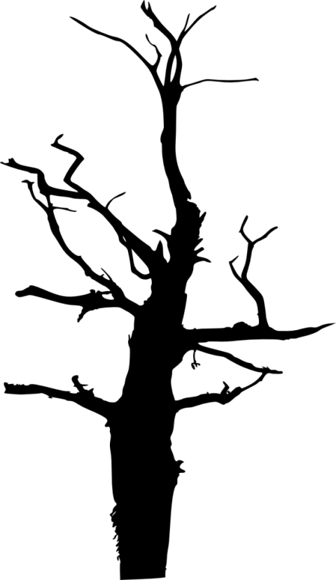 Download Free Png Dead Tree Silhouette Png Images Transparent ...