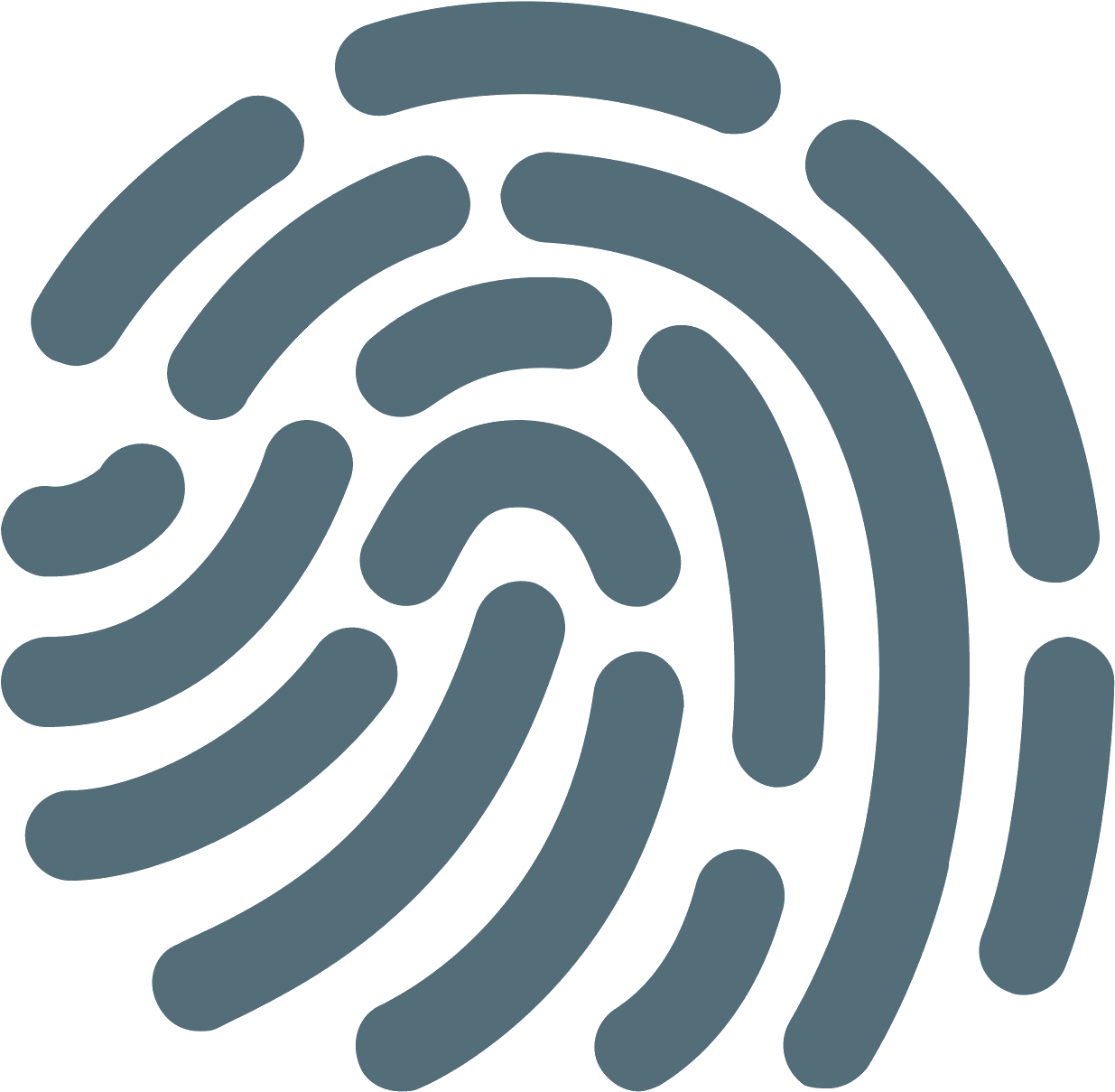Download Fingerprint - Full Size PNG Image - PNGkit