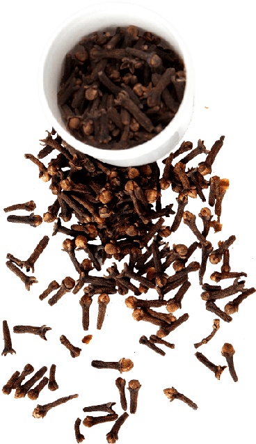 Download Cloves, Whole - Transparent Clove Png - Full Size PNG Image ...