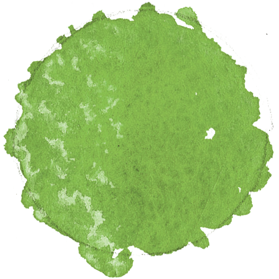 Download Transparent Architectural Site Plan Trees - Trees For Site ...