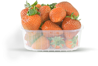 Download Punnet Of Strawberries - Clementine - Full Size PNG Image - PNGkit