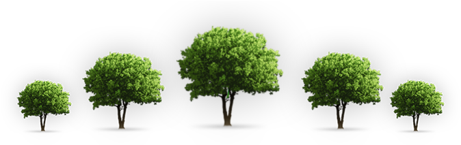 Download Each One Plant One Tree Essay - Plant A Tree Png - Full Size ...
