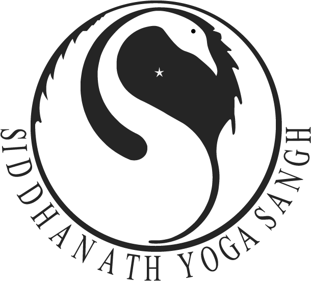 Download Siddhanath - Gurunath Siddhanath Hamsa Yoga - Full Size PNG ...