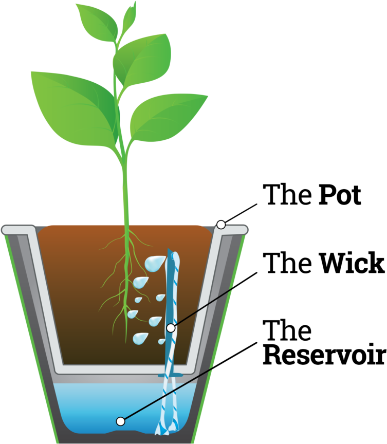 Download Infograph Waterwick - Bewässerungssystem Waterwick Topfsystem ...