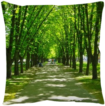 Download Window Opened To The Beautiful Park With Many Green - Window ...