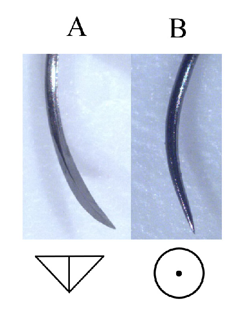 Download Two Common Types Of Surgical Needle Used To Suture - Surgical ...