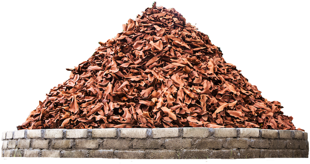 Download Rahul Modak, Fire Altar - India Art Fair - Full Size PNG Image ...