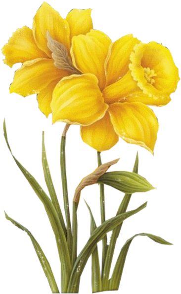 Download Yellow Flower Transparent - Full Size PNG Image - PNGkit
