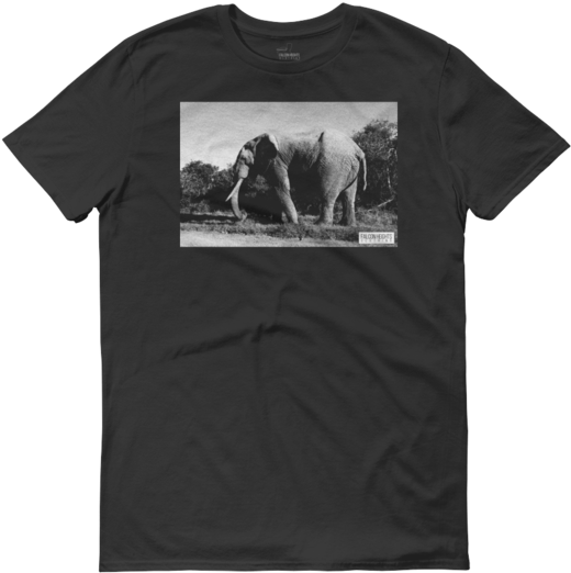 Download Profit Shirt - Full Size PNG Image - PNGkit