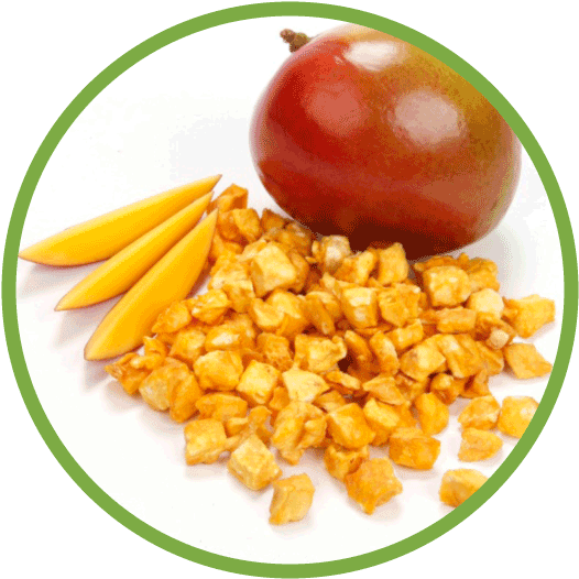 Download Mango Circle Mango Md Circle - Individual Quick Freezing ...