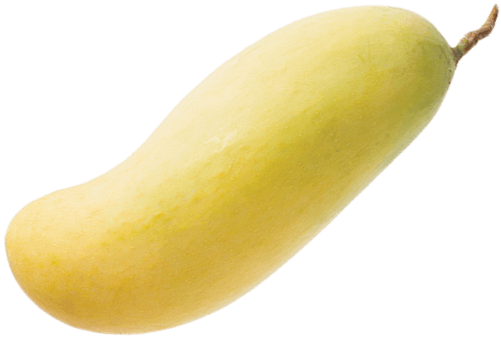 Download Jpg Black And White Download Maha Chanok Mangoes Thakolsri ...