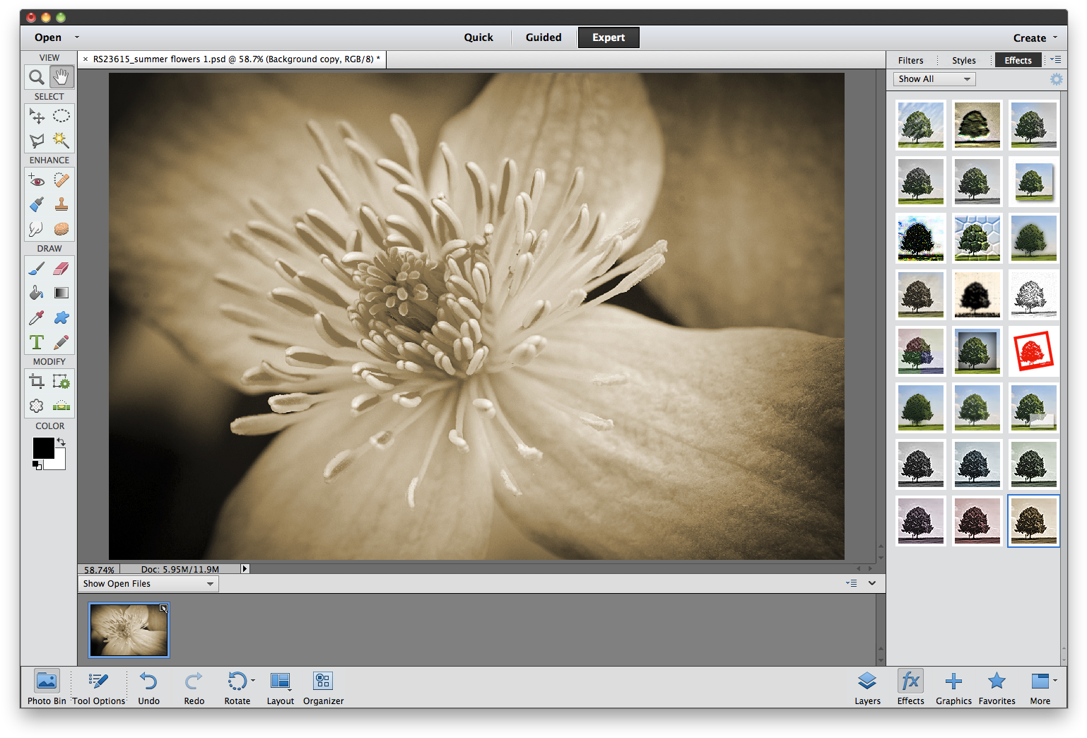Download Instant Sepia Effect - Photoshop Sepia - Full Size PNG Image ...
