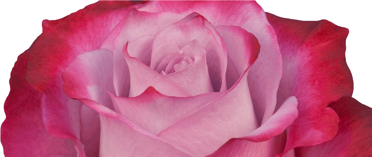 Download 1,000,000 - Full Size PNG Image - PNGkit