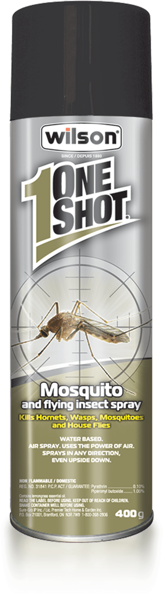 Download Arachnicide - Full Size PNG Image - PNGkit