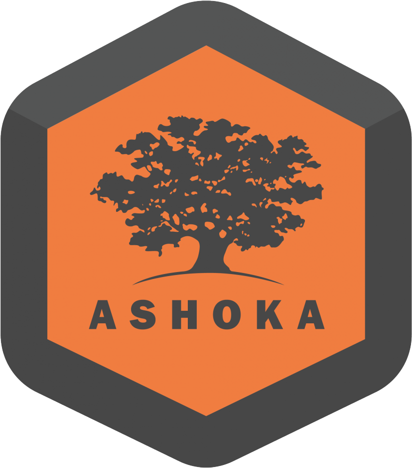 Download Social Intrapreneurship For Innovation In Health And - Png ...