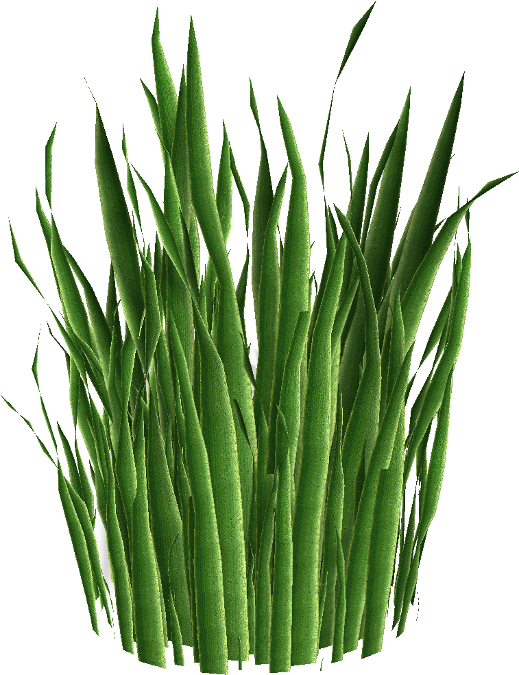 Download Plants - Full Size PNG Image - PNGkit