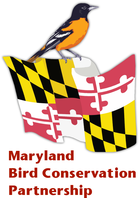 Download Mbcp Logo Words - Logo - Full Size PNG Image - PNGkit