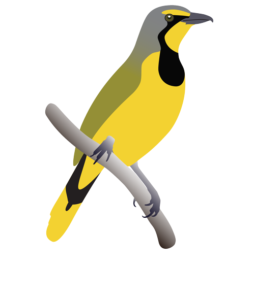 Download Wits Bird Club Logo Wits Bird Club Retina Logo - Logo - Full ...