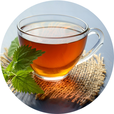 Download Tea - Herbal Tea - Full Size PNG Image - PNGkit