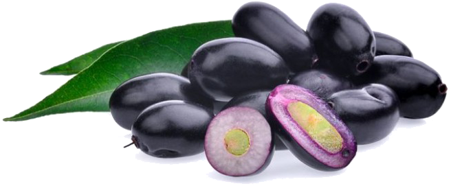 Download Download Png Image Report - Jamun Fruit - Full Size PNG Image ...
