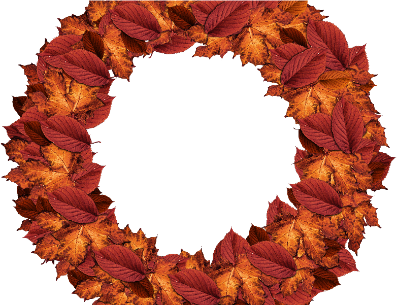 Download Reef Clipart Autumn - Fall Wreath Png File - Full Size PNG ...