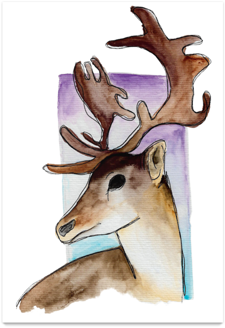 Download Poster Dear Deer De Barbara Câmarana - Reindeer - Full Size ...